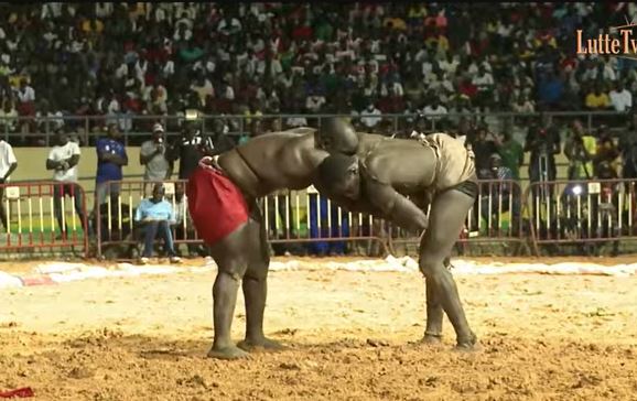 Victoire de Dame Sène sur Tonnerre : Regardez le combat ! - Tik Galsen
